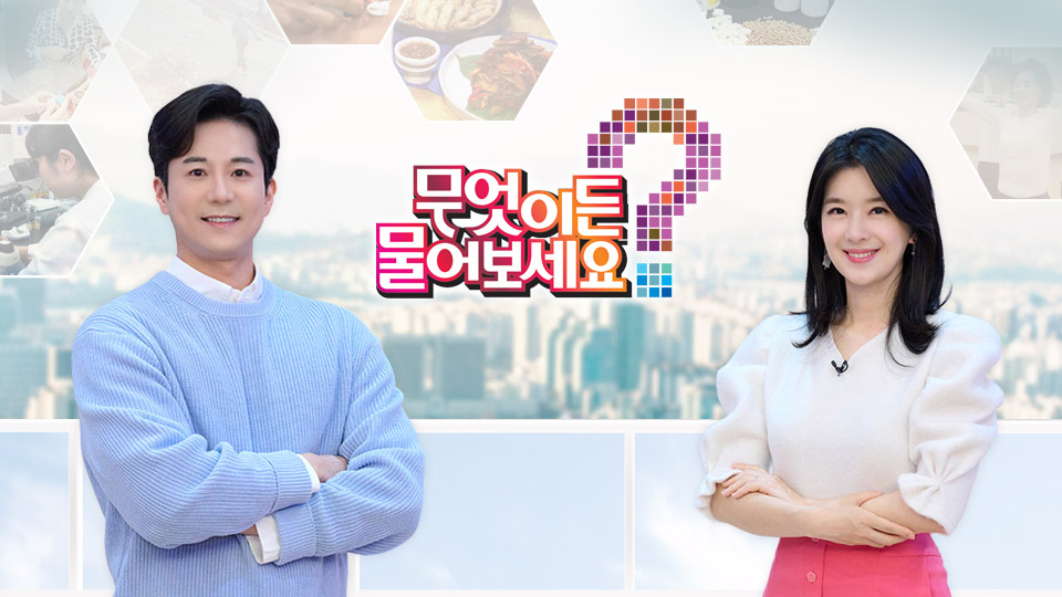 무엇이든 물어보세요 | 디지털 KBS